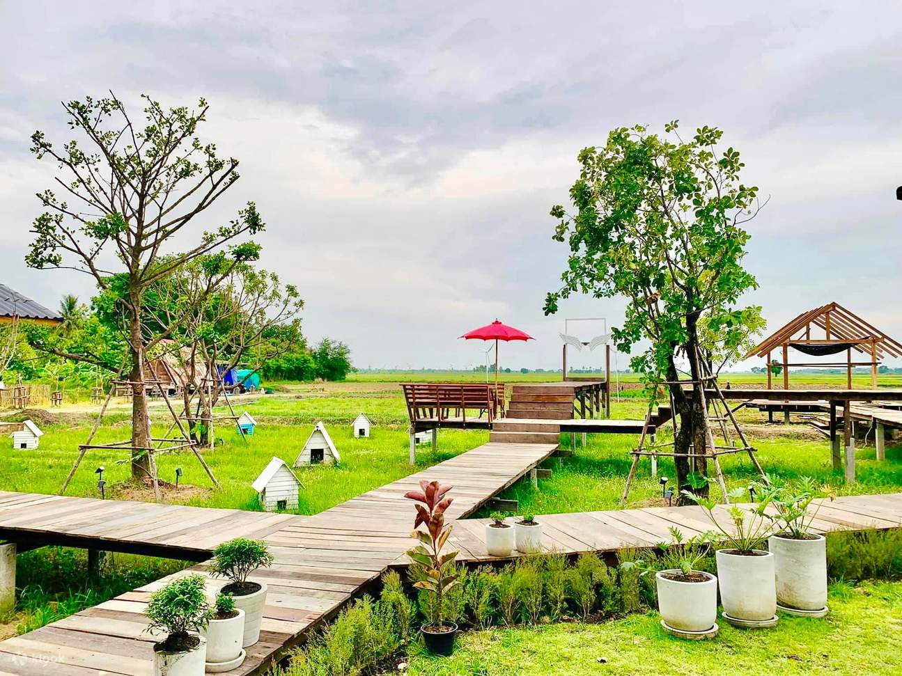 Group Lopburi Tour From Bangkok With Monkey & Cave Temple & Ig Cafe in ...