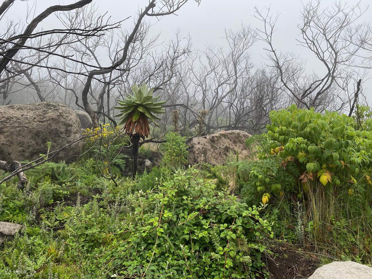 Discover Nature's Magic: One-Day Hike to the Enchanting Seven Ponds of ...