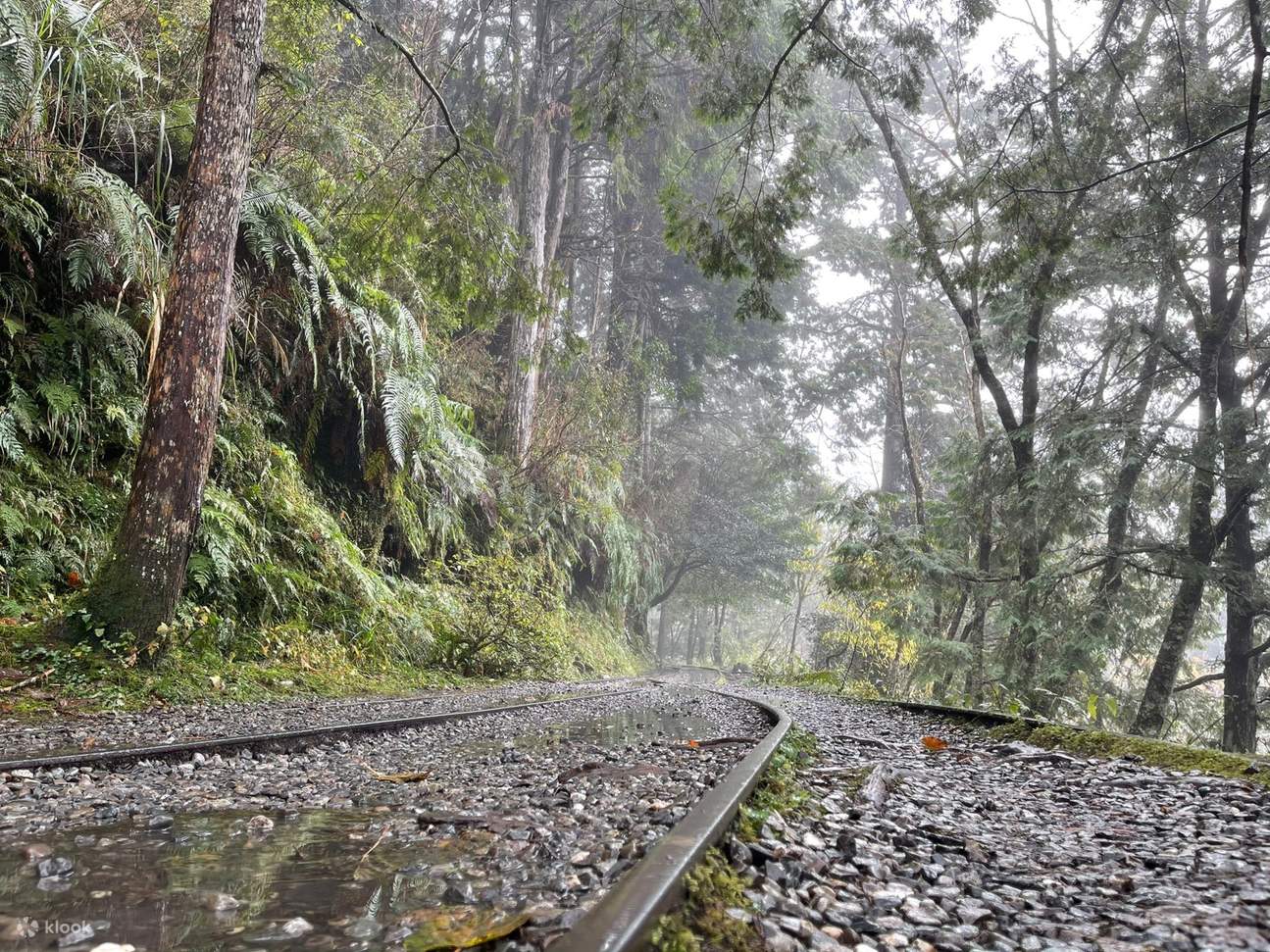 Yilan｜Taiping Mountain Day Tour｜Berangkat dari Taipei・Yilan - Klook ...