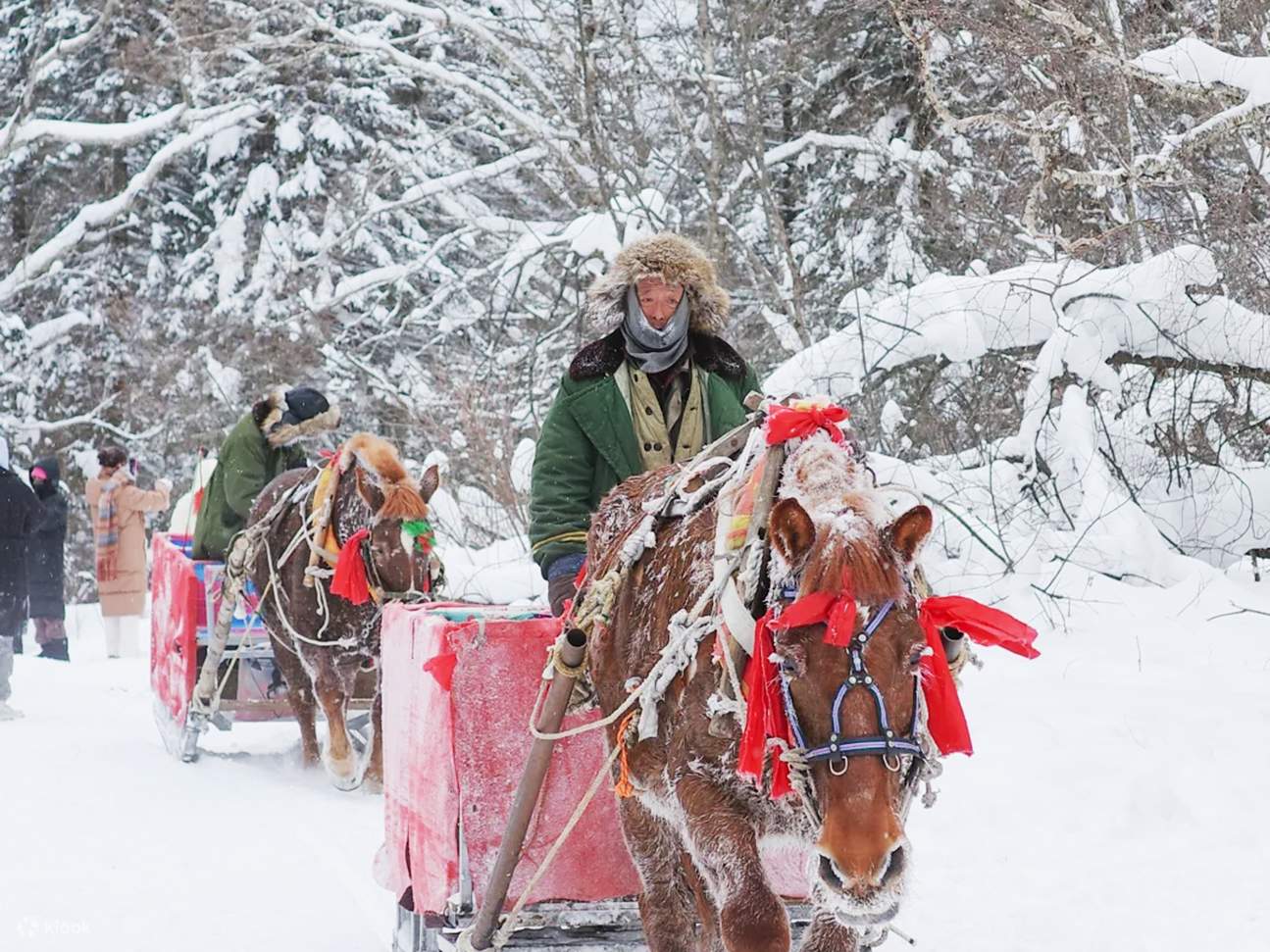 One-day tour of Changbai Mountain Snow Ridge/Laolike Lake - Klook ...