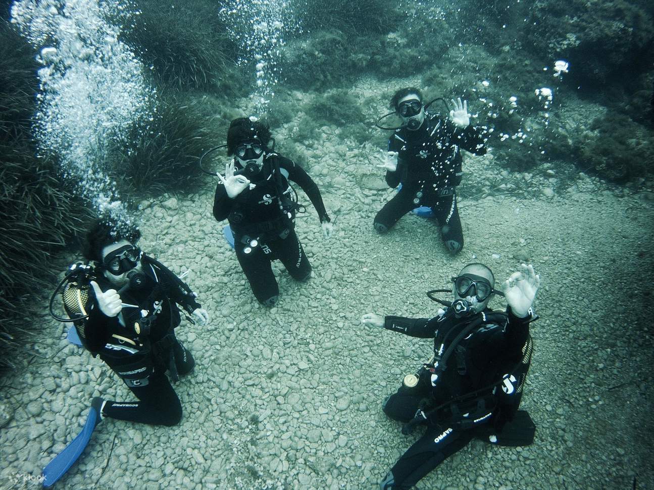 Padi 與 Padi 5 星級 Idc 一起探索巴利阿里群島的水肺潛水 Klook香港