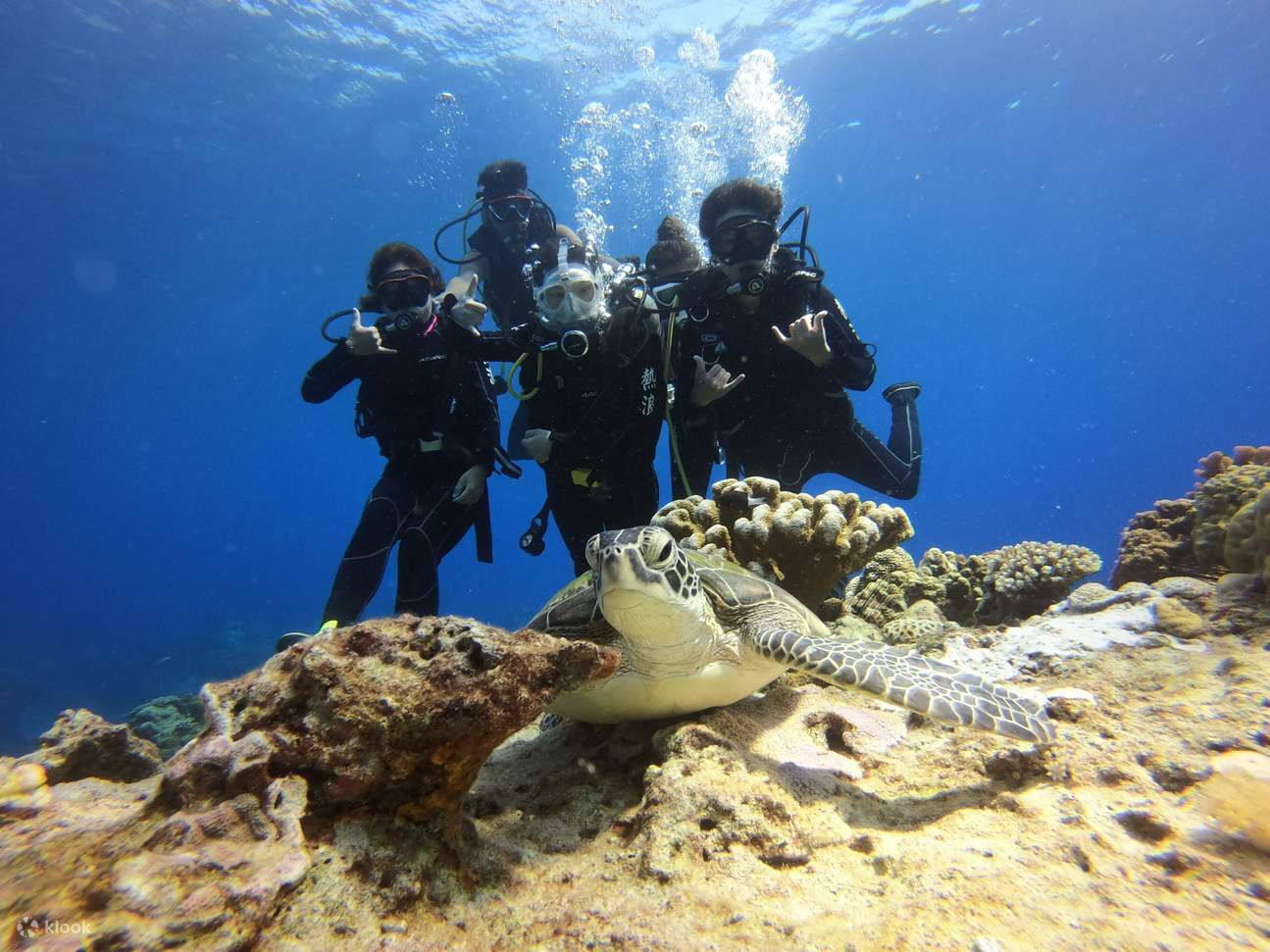 Green Island｜Experience Scuba Diving｜Red Wave Dive Center - Klook