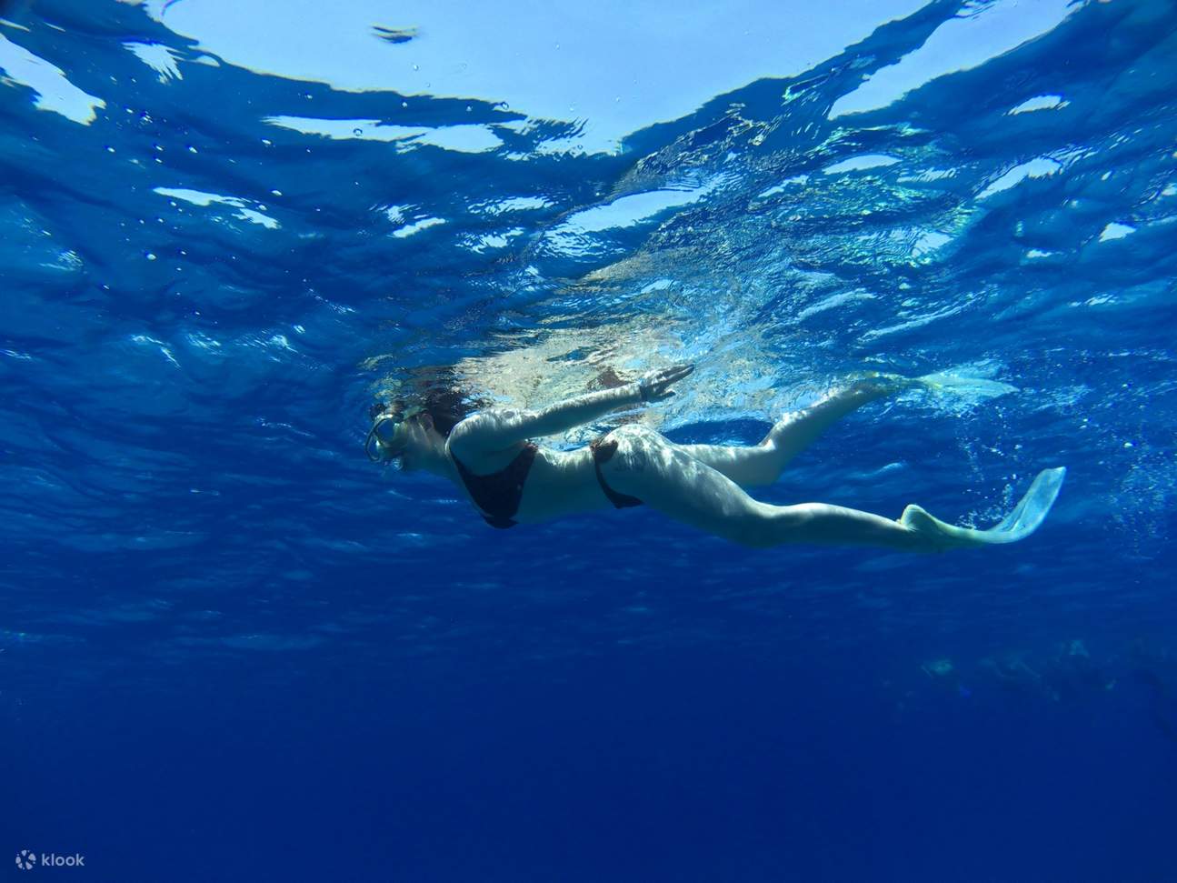 Marsa Mubarak Full-Day Snorkeling Adventure W/Transfer– Marsa Alam ...