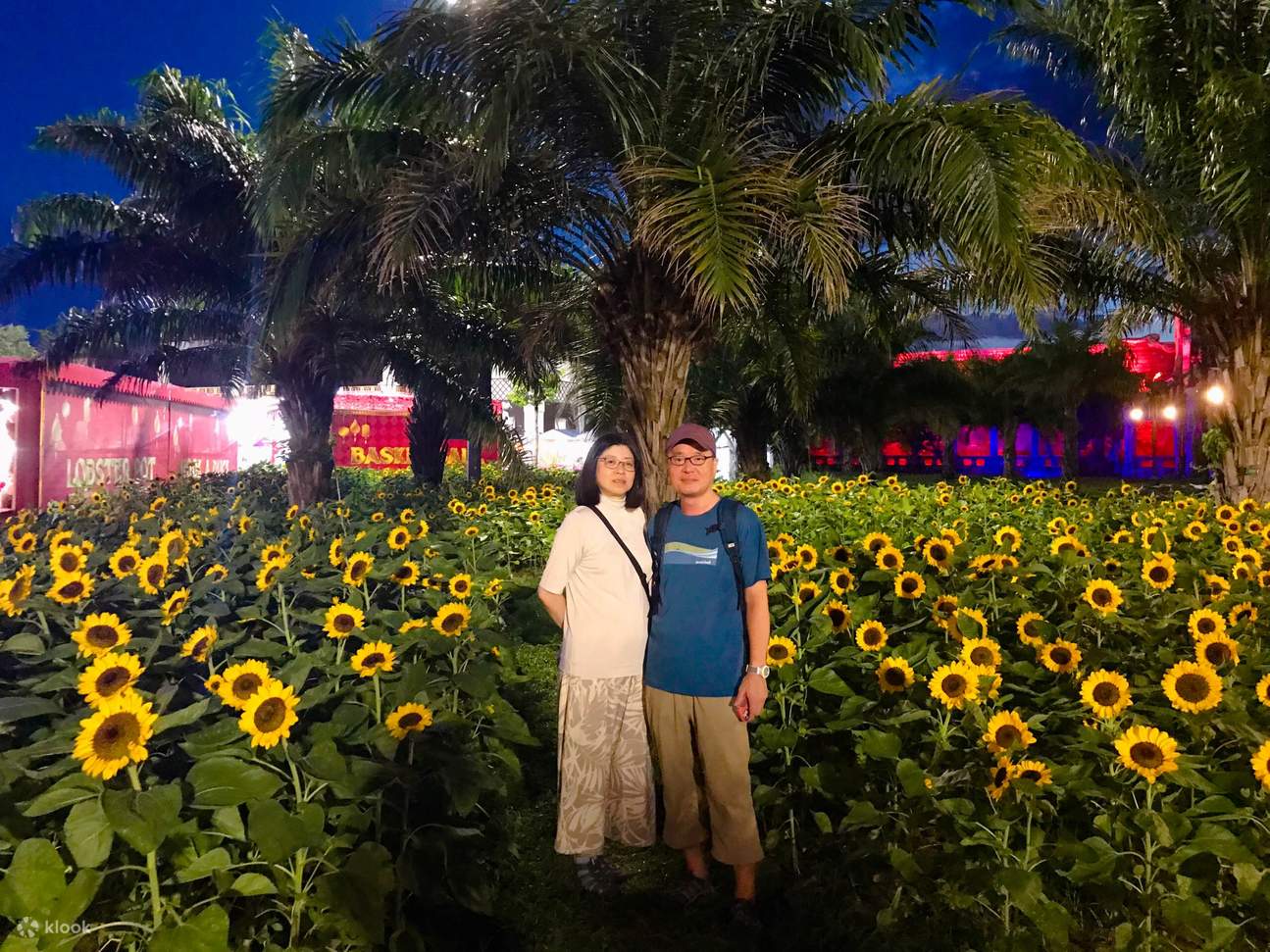 Da Nang Nightlife, Sun Wheel Ride and Dinner from Da Nang - Klook Singapore