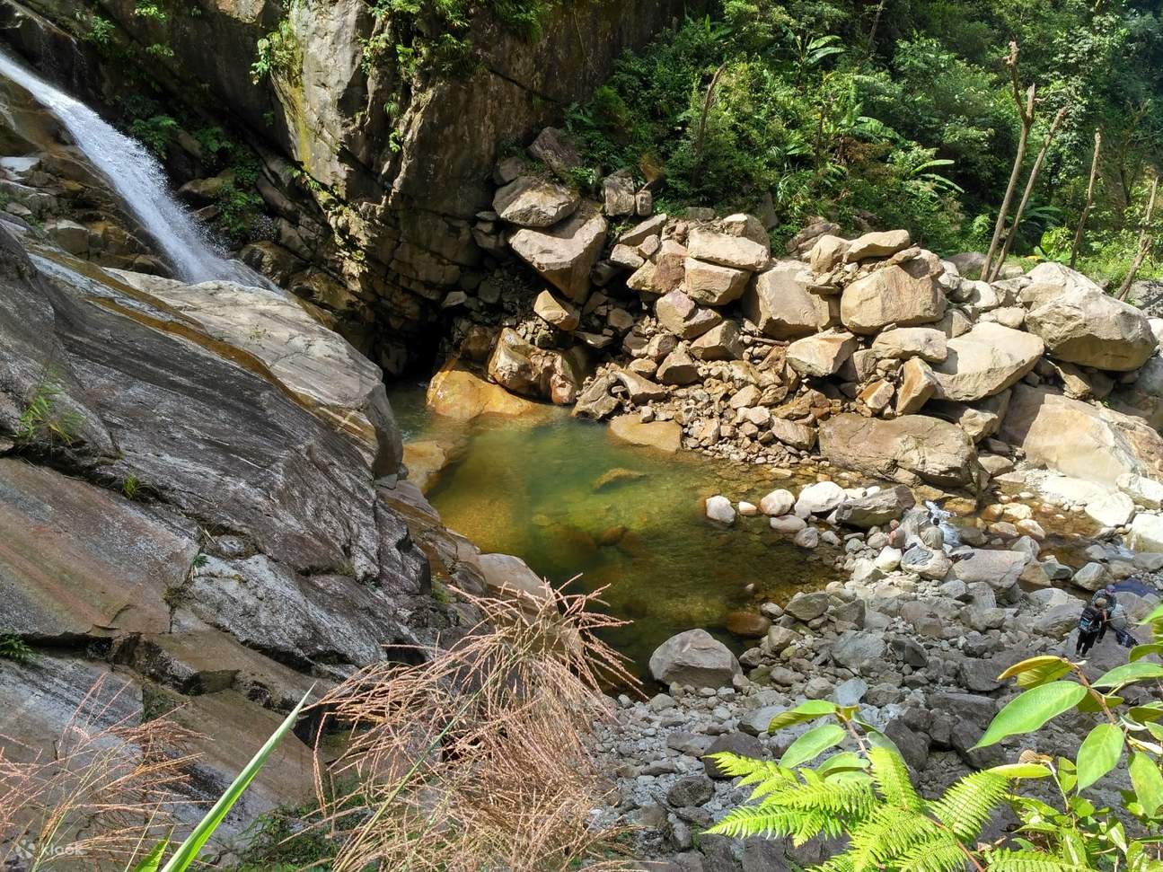 3D2N Nunuk Trail Jungle Trekking di Sabah, Malaysia - Klook Indonesia