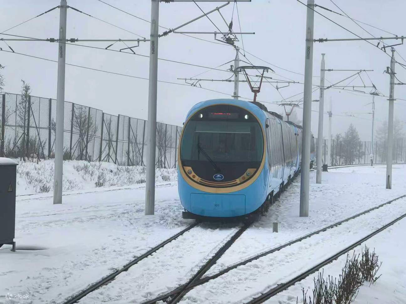 Lijiang Jade Dragon Snow Mountain Sightseeing Train - Klook Hong Kong