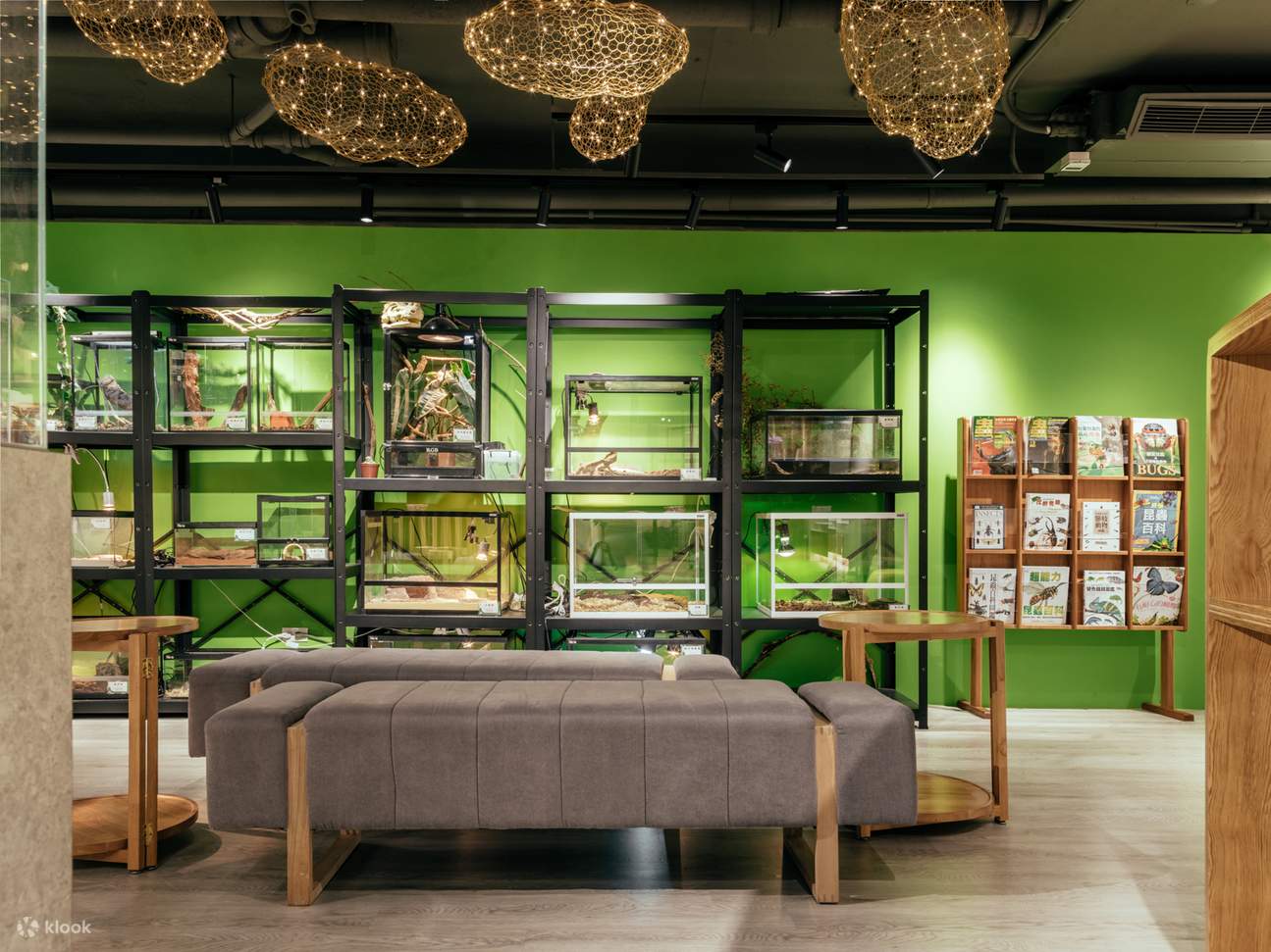 Taipei: Visit and Explore the Bugs Bass Insectarium - Klook