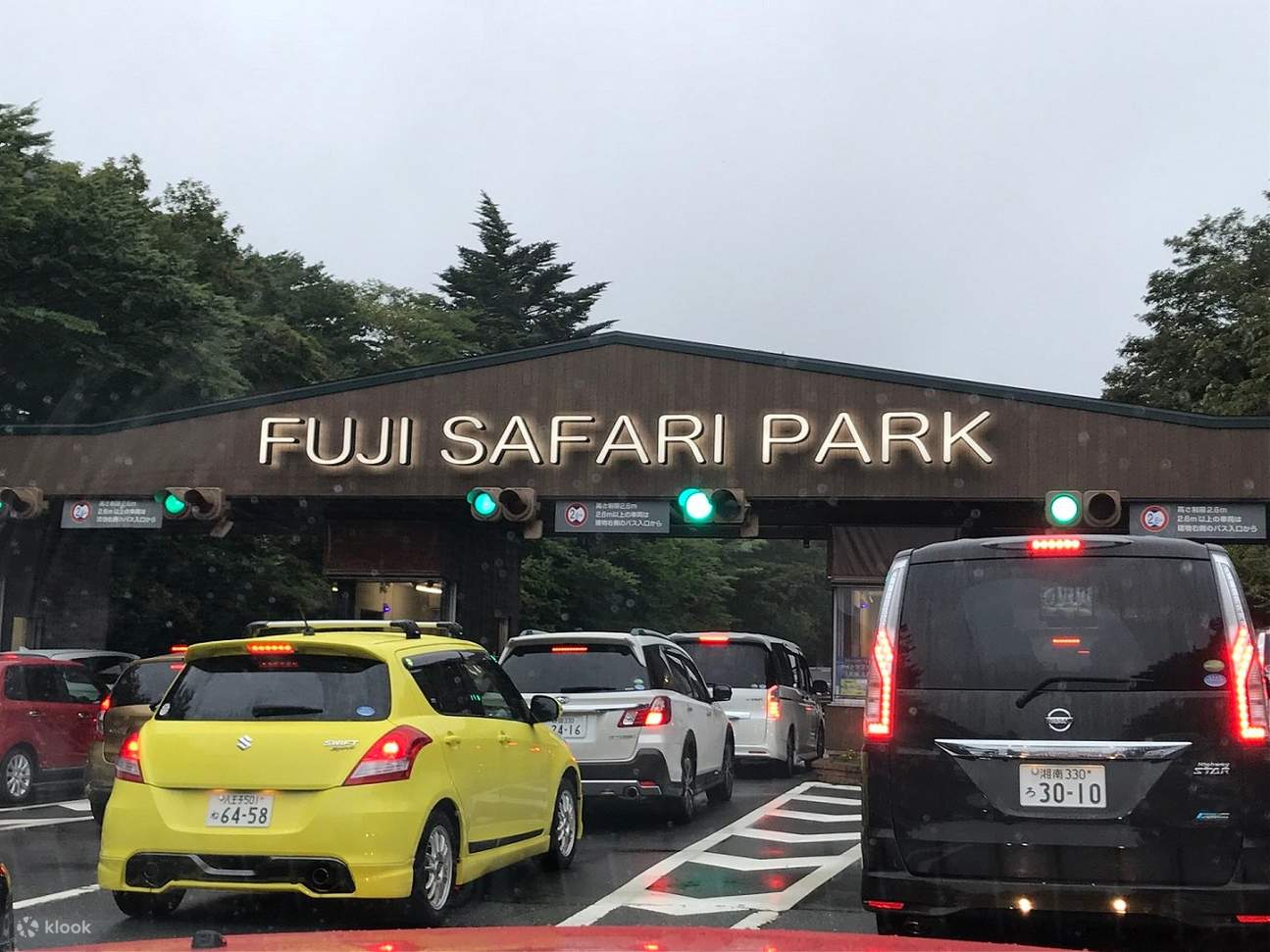 Family Trip: FUJI SAFARI PARK & Oshino Hakkai & Oishi Park Day Trip ...