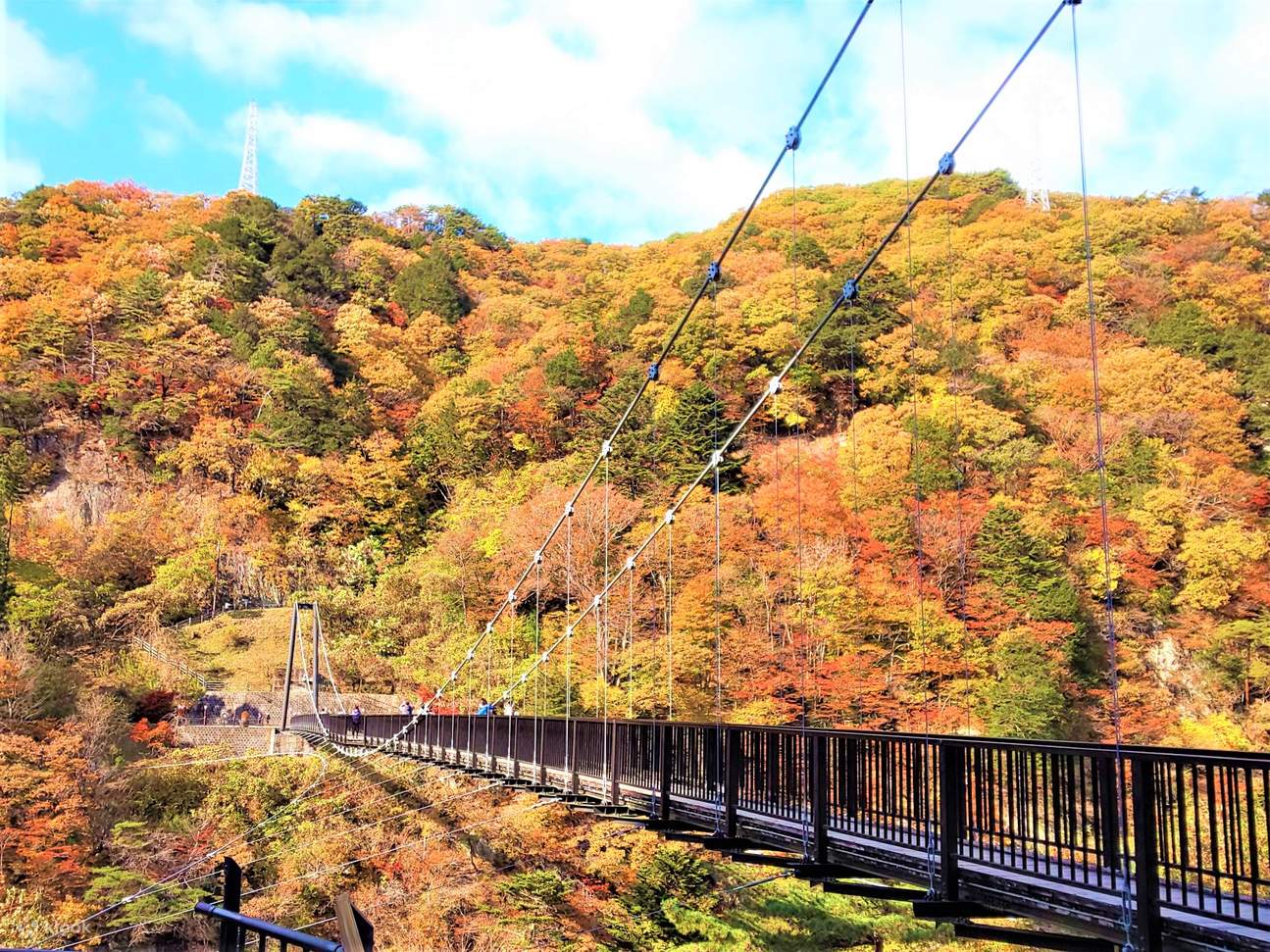 [Autumn Ryuo-kyo Gorge Day Hike] Kinugawa Grand Suspension Bridge ...