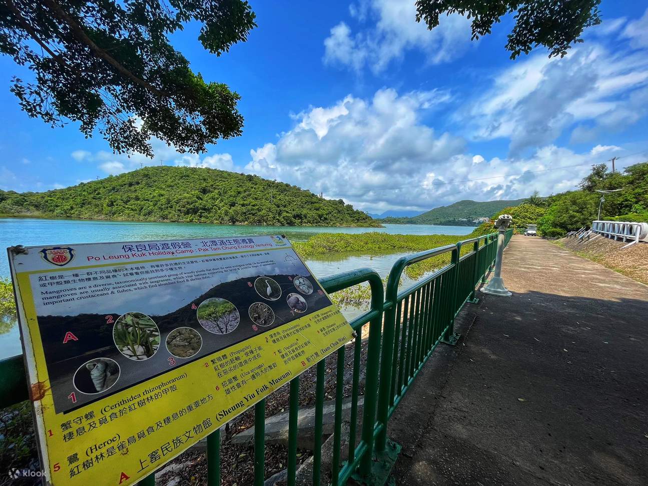 Hong Kong Sai Kung Pak Tam Chung Mangrove Ecology Tracking - Klook ...