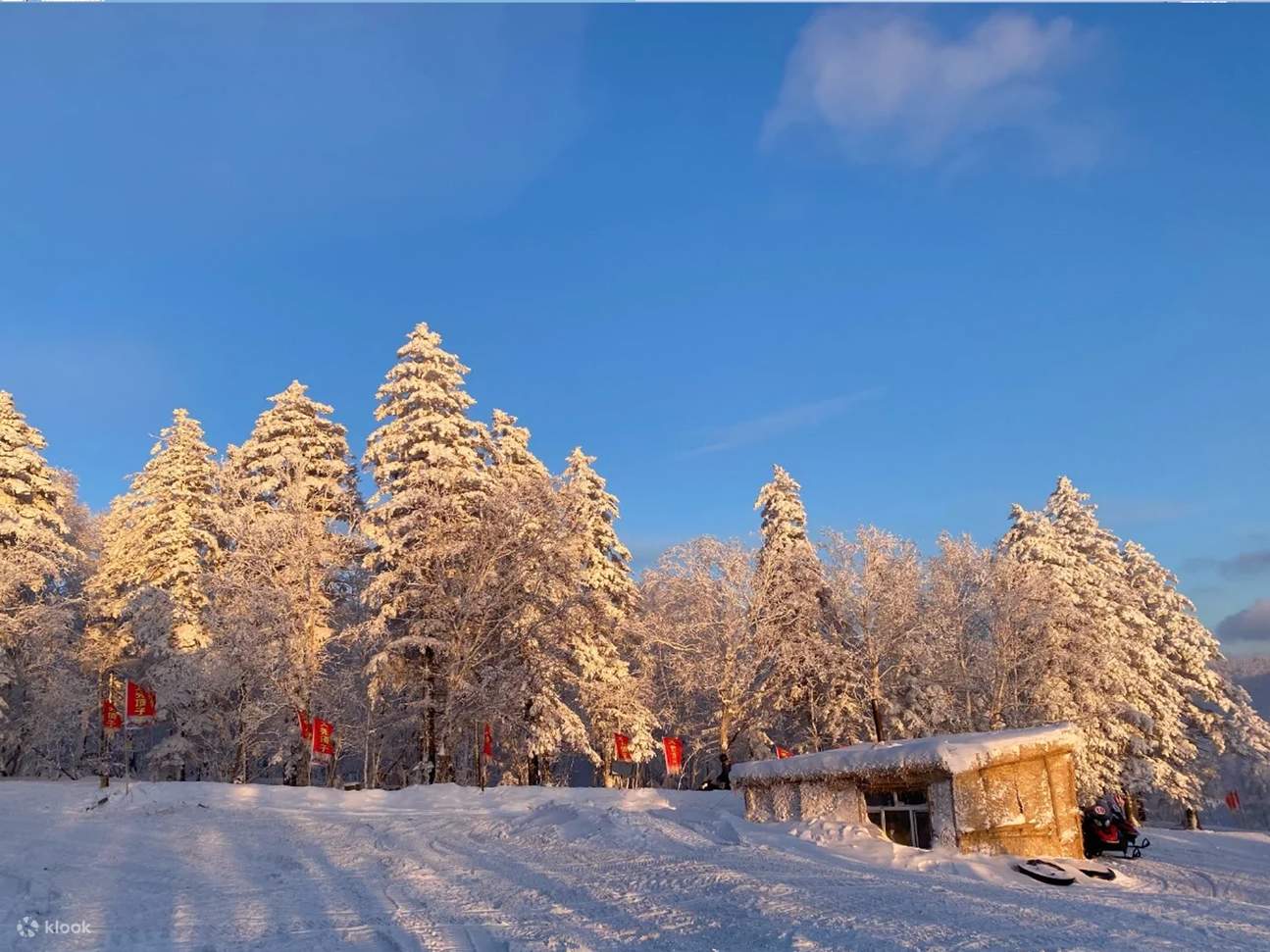 3-Day Snow Town, Harbin, Northeast China Tour (Yabuli Ski Resort ...