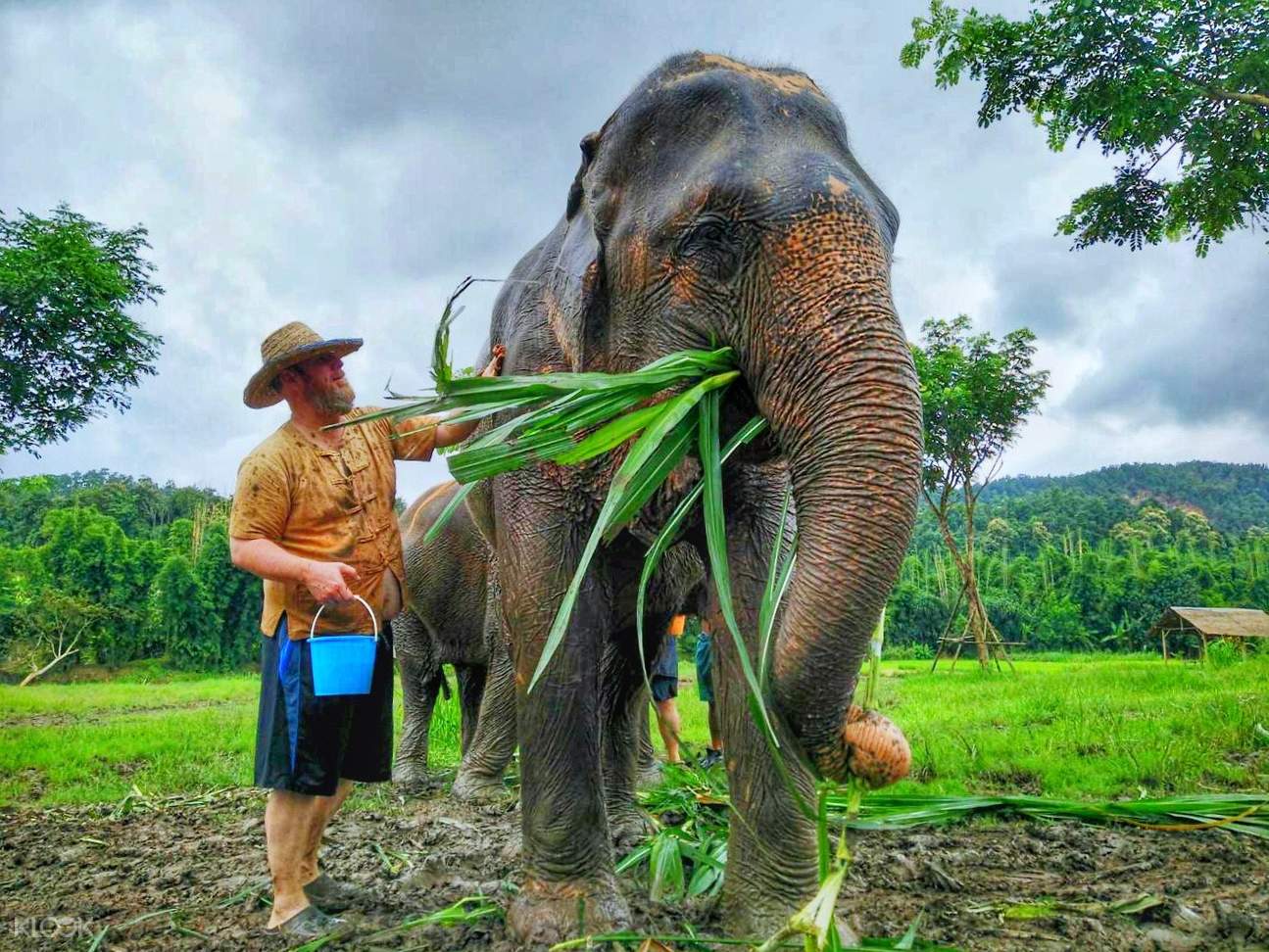 [SALE] Lanna Kingdom Elephant Sanctuary Tour - Ticket KD