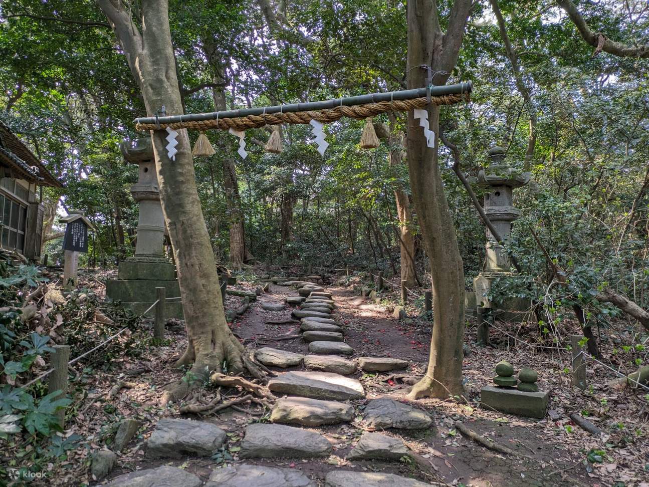 Desde Kanazawa: Impresionantes acantilados, isla y puerto histórico de ...