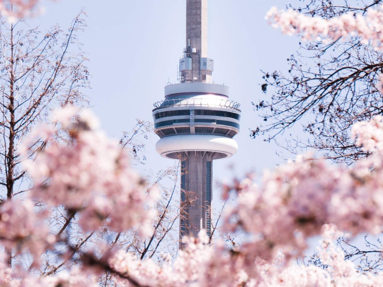 Tur Terbaik Kota Toronto dengan Pelayaran Perahu dan CN Tower - Klook ...