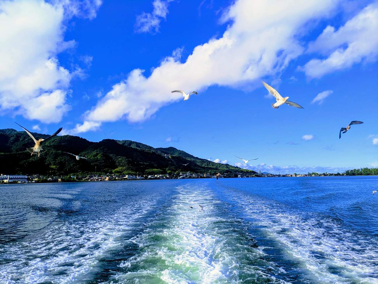 Amanohashidate en Miyama Dagtour vanuit Osaka/Kyoto - Klook Verenigde ...