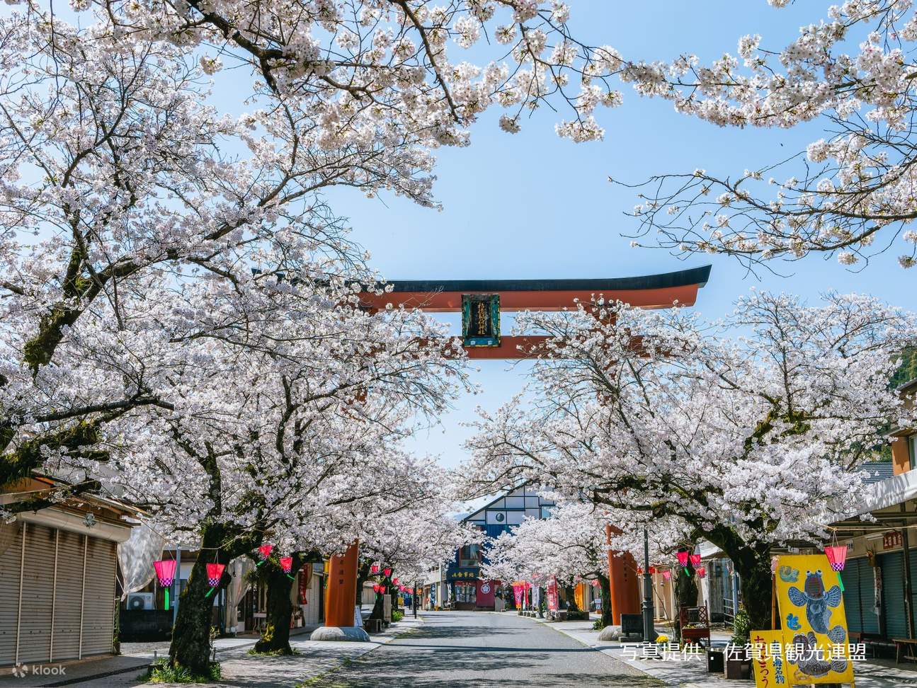 Saga: Yutoku Inari Shrine & Ogi Park & Tosu Premium Outlets Day Trip ...