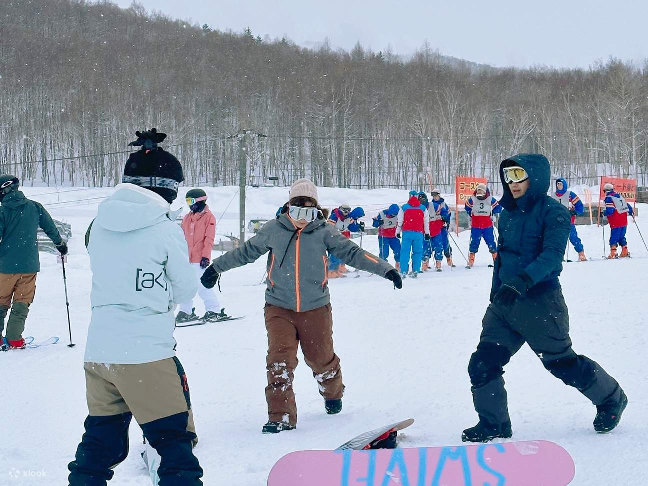 Melbourne, Australia l 1-day private ski lesson - Klook United States