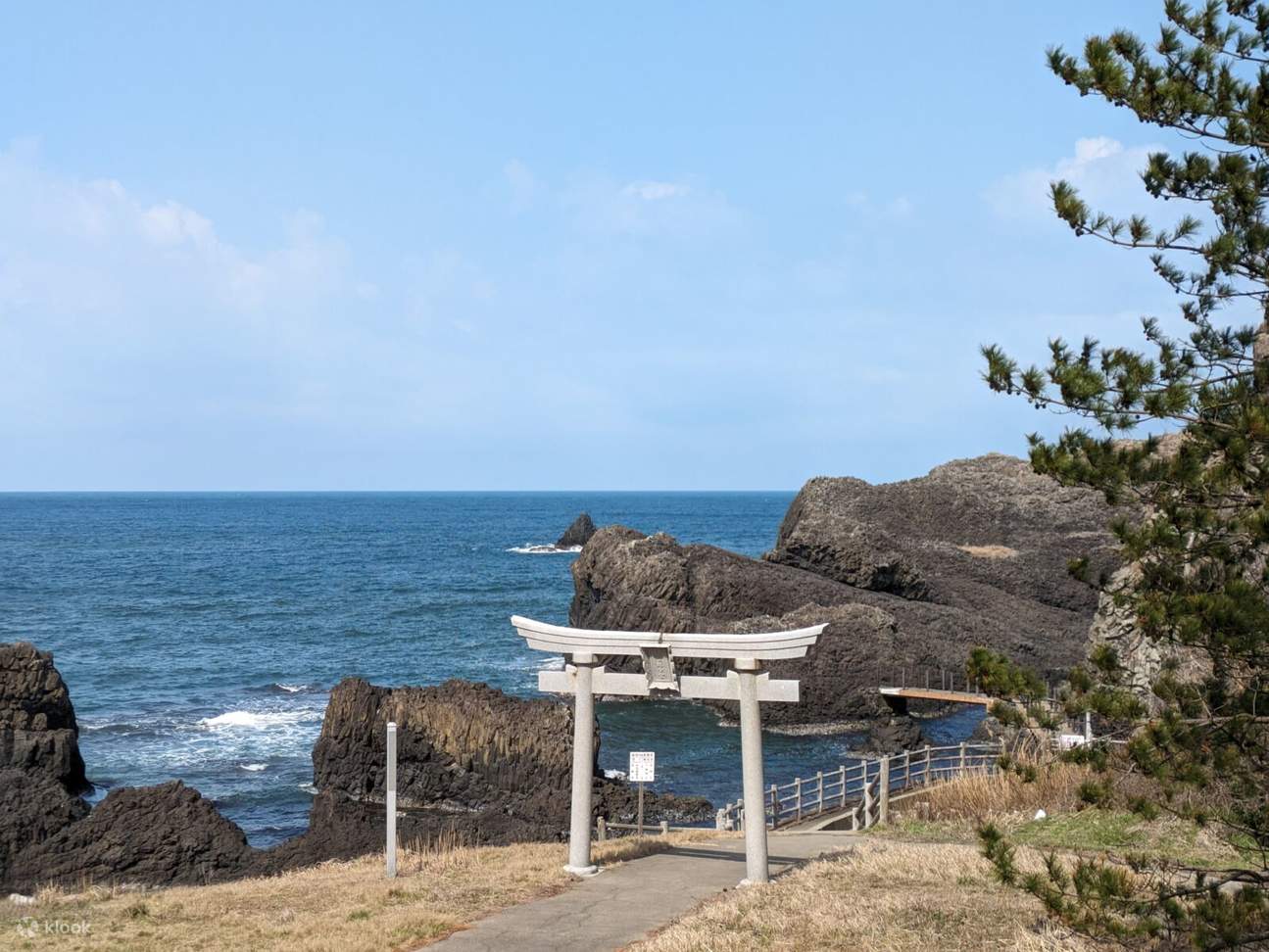 Desde Kanazawa: Impresionantes acantilados, isla y puerto histórico de ...