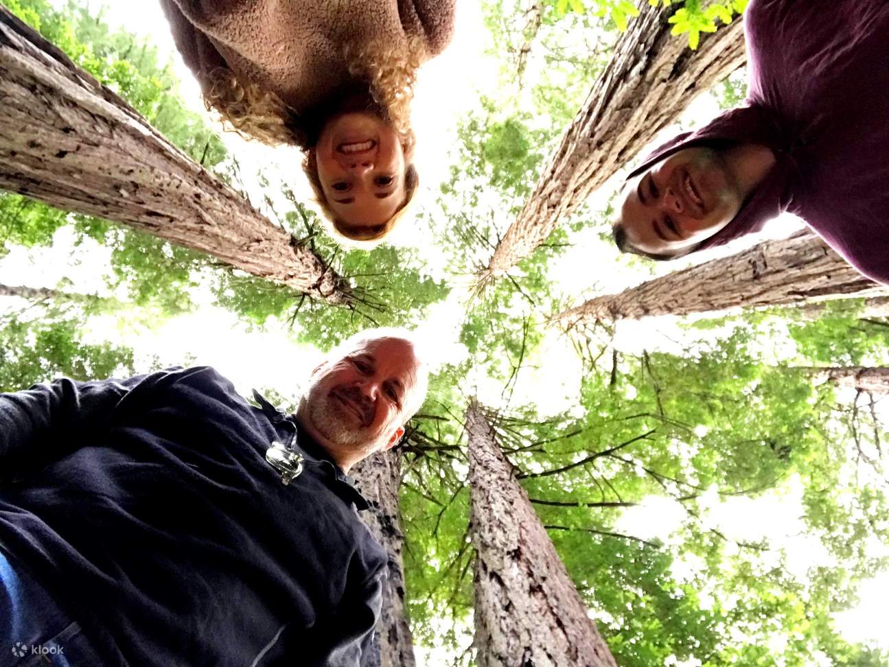 Private Muir Giant Redwoods Trees and Sausalito Guided Tour - Klook ...