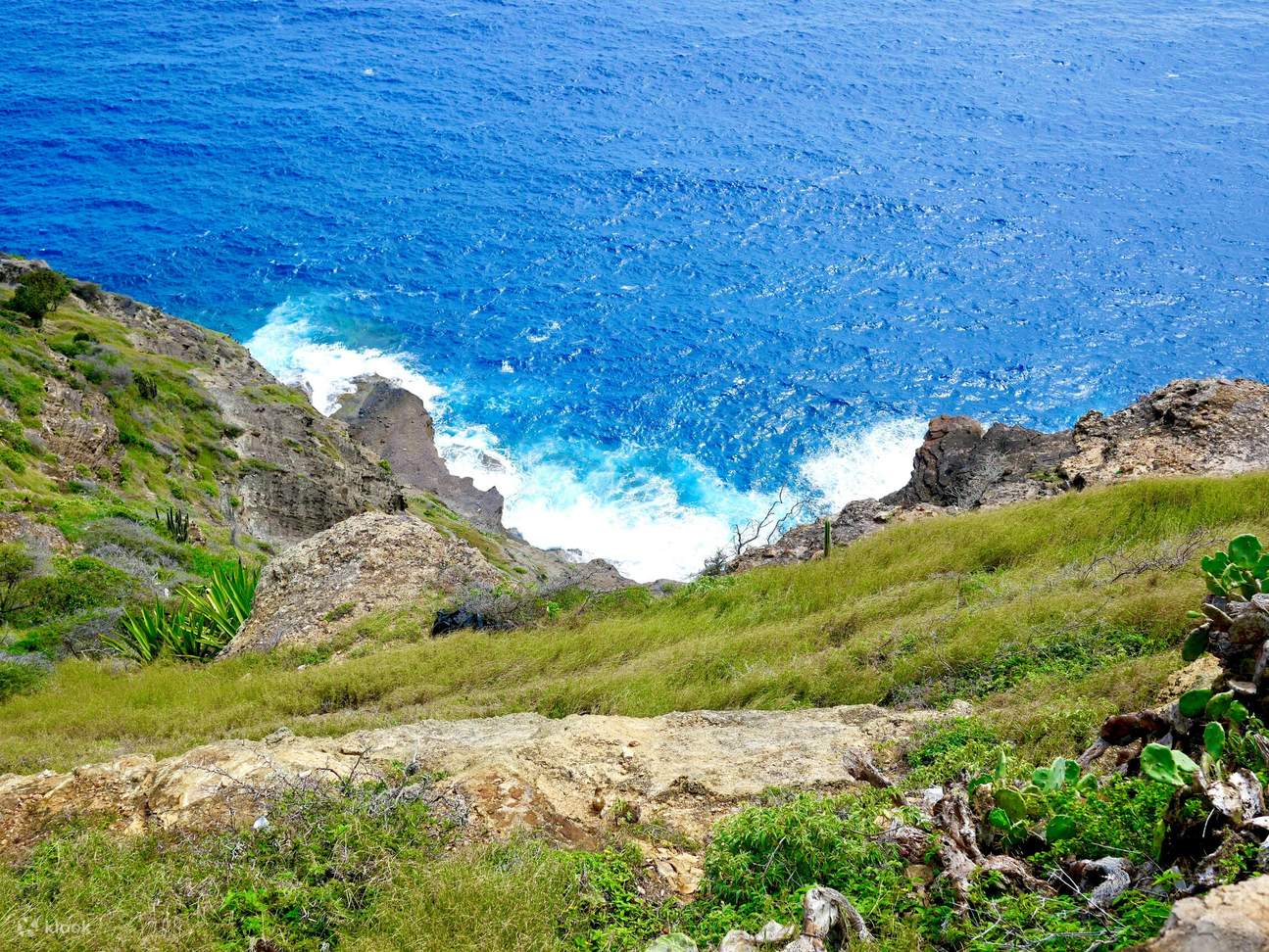 Antigua: Shirley Heights Lookout Sunset Party with Transfer - Klook ...