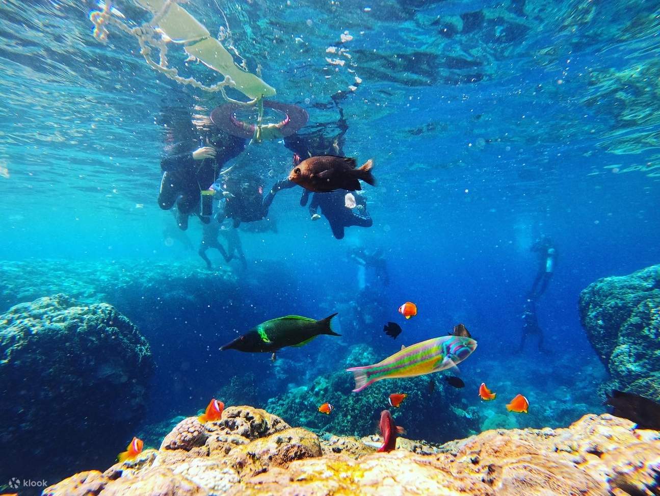 Pengalaman snorkeling Orchid Island (termasuk fotografi GoPro) - Klook Indonesia