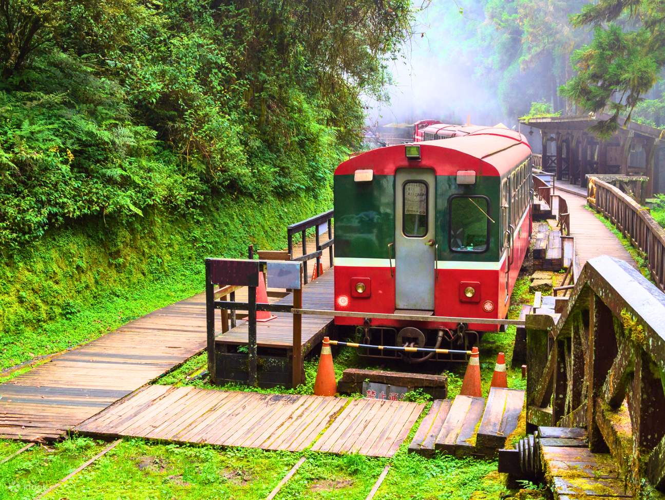 Chiayi Alishan｜Dua hari satu malam｜Tur Penyembuhan Hutan Matahari Terbit｜Berangkat dari Taipei ...