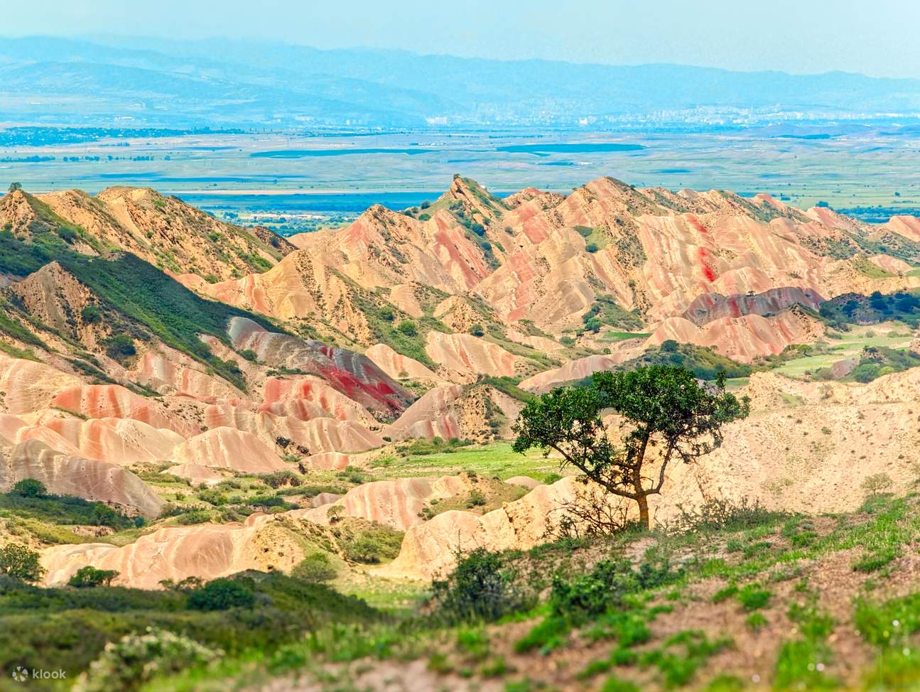 Explore David Gareji and the Real Rainbow Mountains on a Thrilling 4WD ...