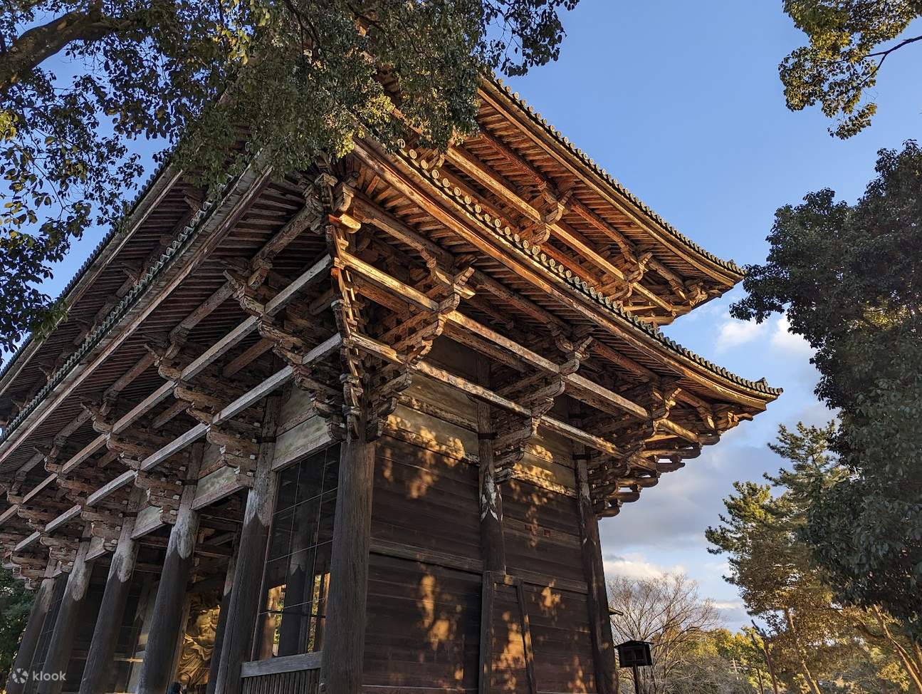 [One-day tour of Kyoto, Nara, and Uji] Nara Park's cute deer, Fushimi Inari Taisha Shrine's ...