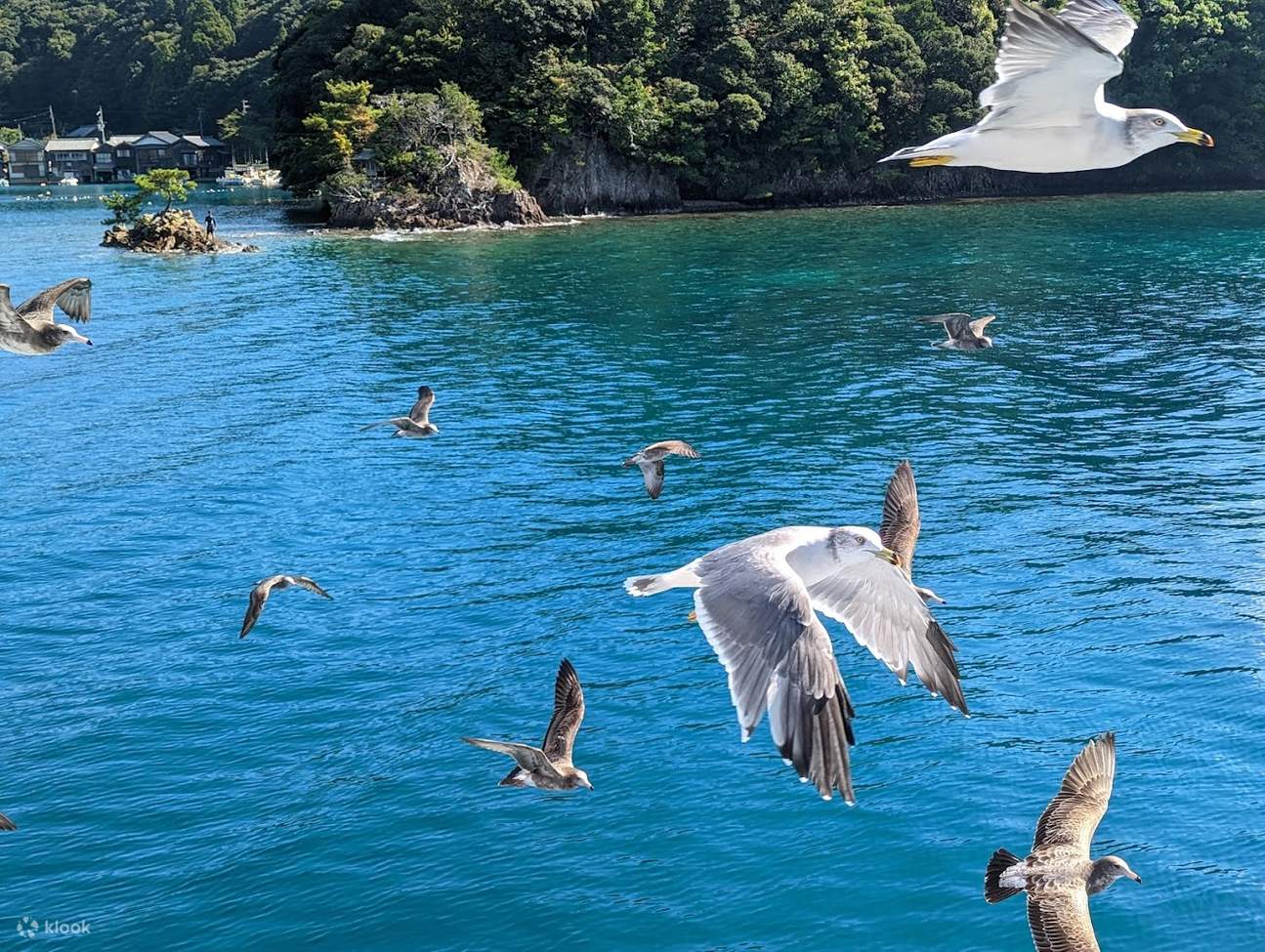 Amanohashidate of Japan's Three Great Views, Ine Funaya (Boathouses ...