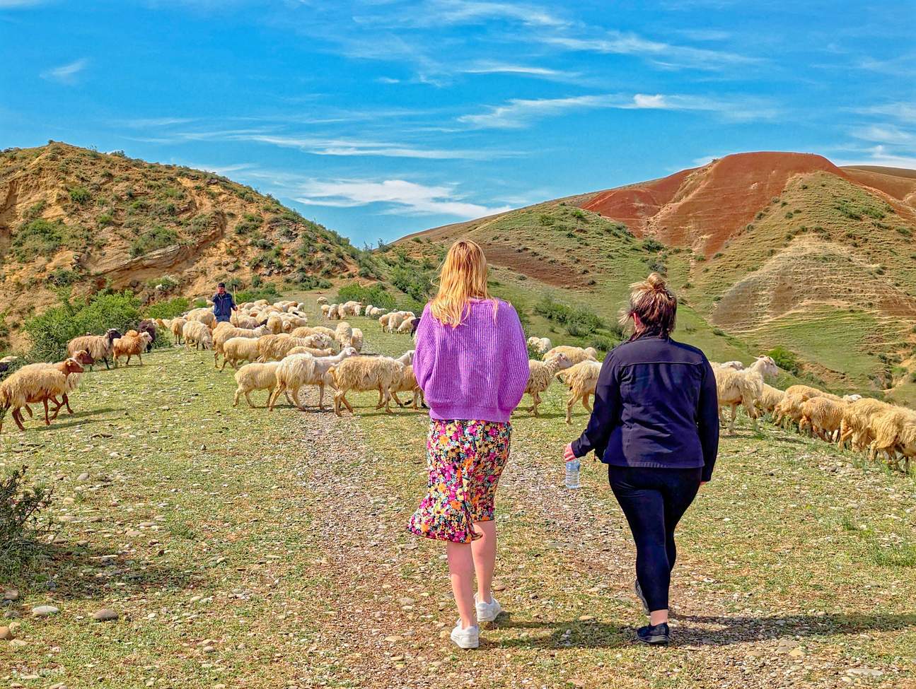 Explore David Gareji and the Real Rainbow Mountains on a Thrilling 4WD ...