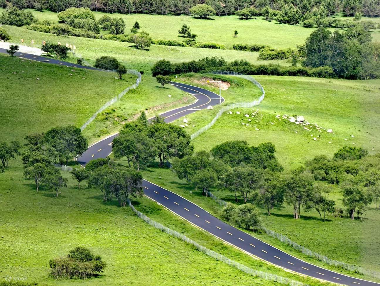 3-Day Best of Inner Mongolia Grassland Round Trip from Beijing ...