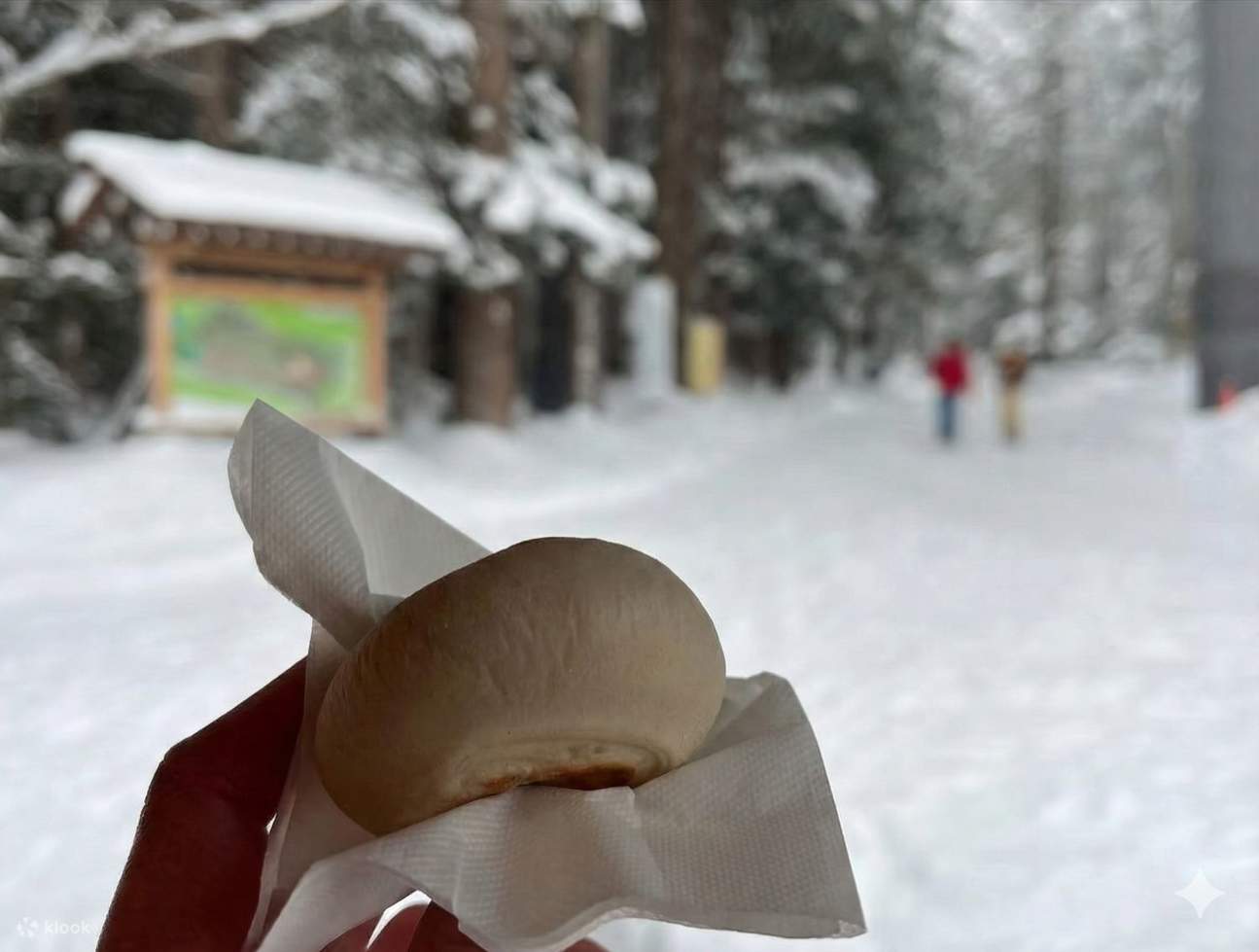 Shinrin-yoku Yoga In Hokkaido Awakening Breath at Hokkaido Shrine ...