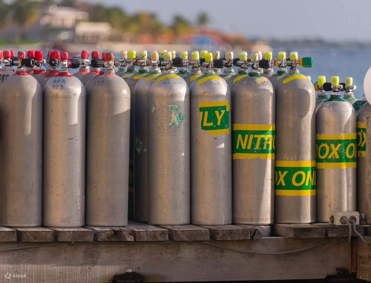 Learn PADI Enriched Air Diver in Koh Tao with PADI 5 Star CDC - Klook ...