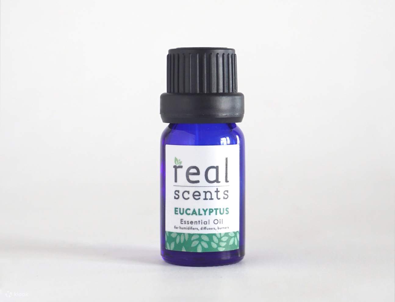 Real Scents Essential and Fragrance Oils - Klook United States