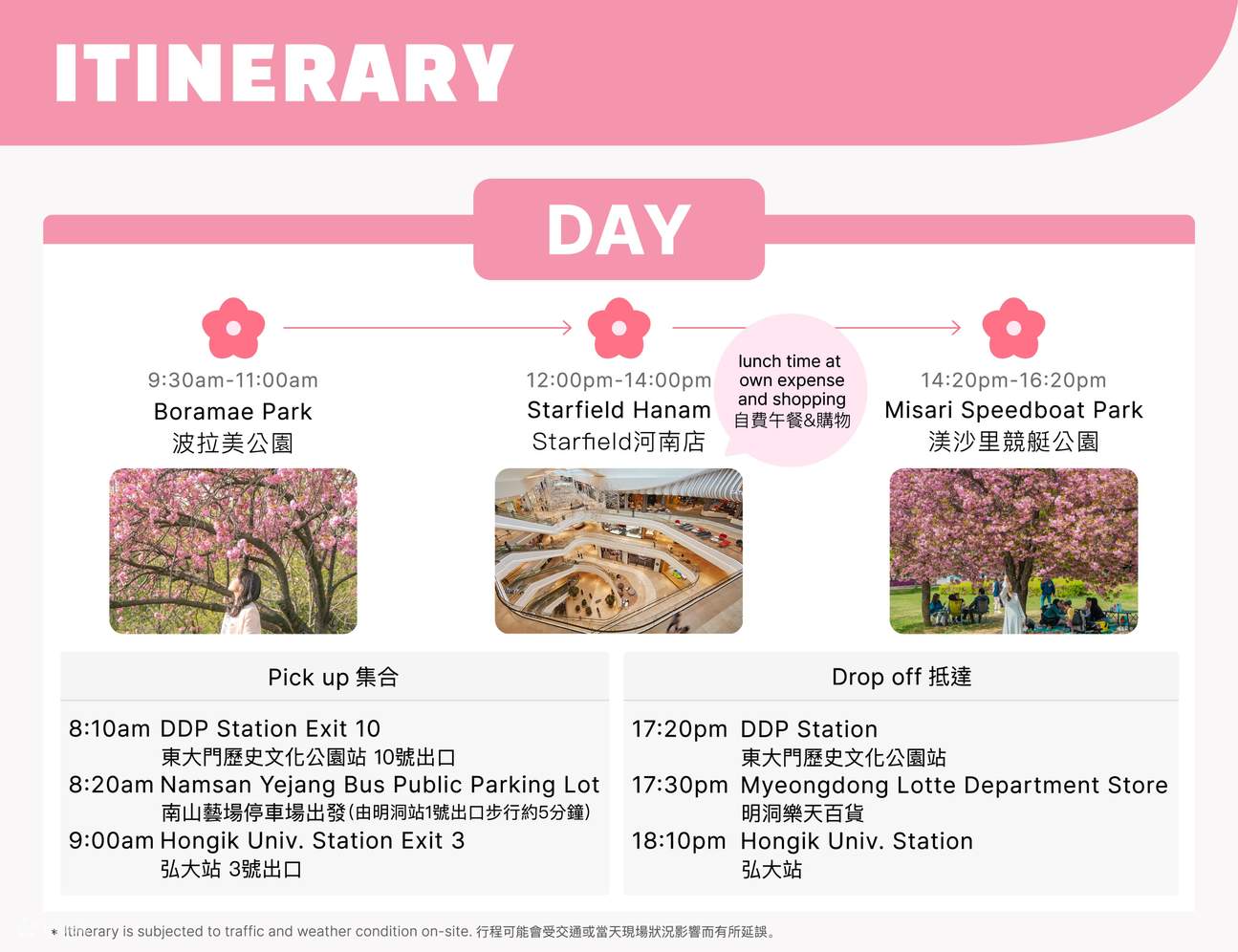 Seoul King Cherry Blossoms Trip - Klook États-Unis