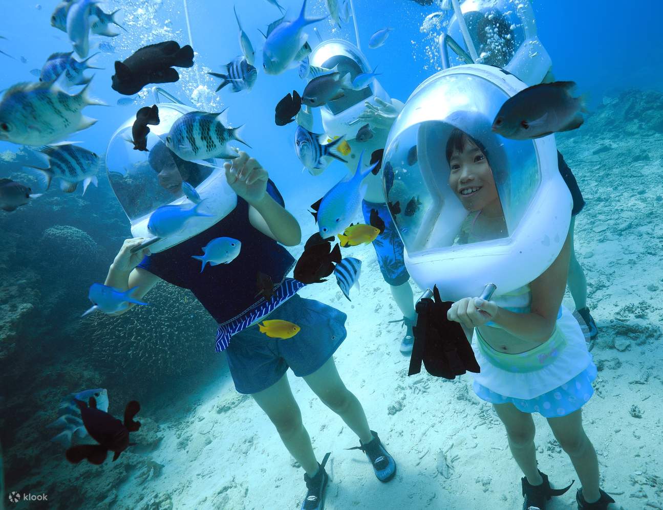 Incredible Marine Walk - Klook