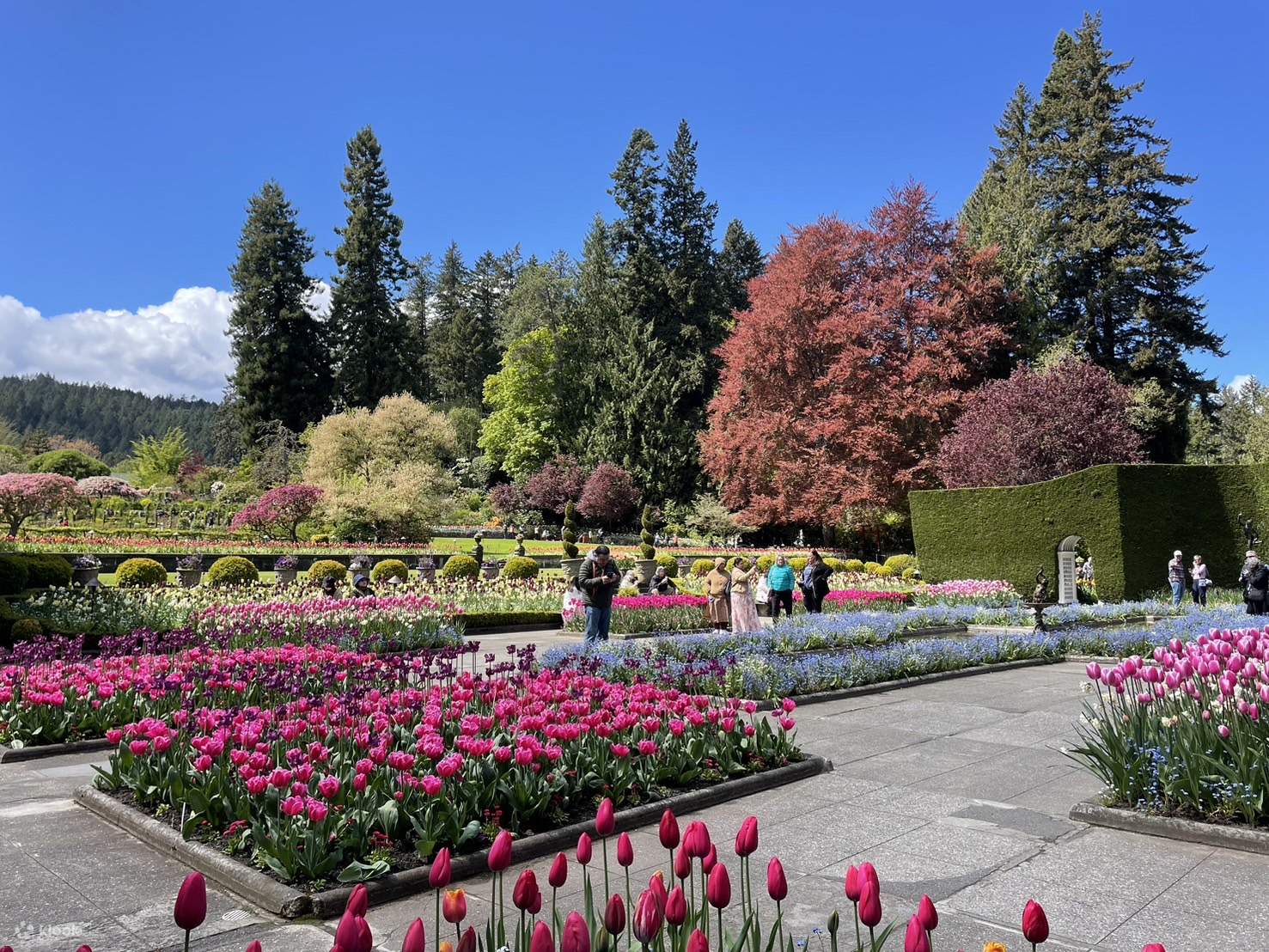 Victoria Gardens Vancouver Visiting The Best Victoria, B.C. Gardens