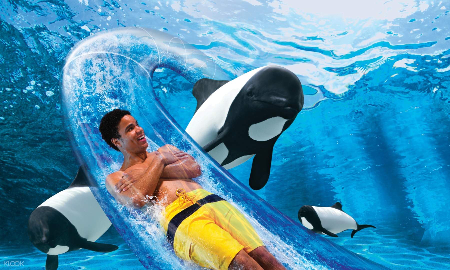 Busch Gardens Seaworld Aquatica Pass | Fasci Garden