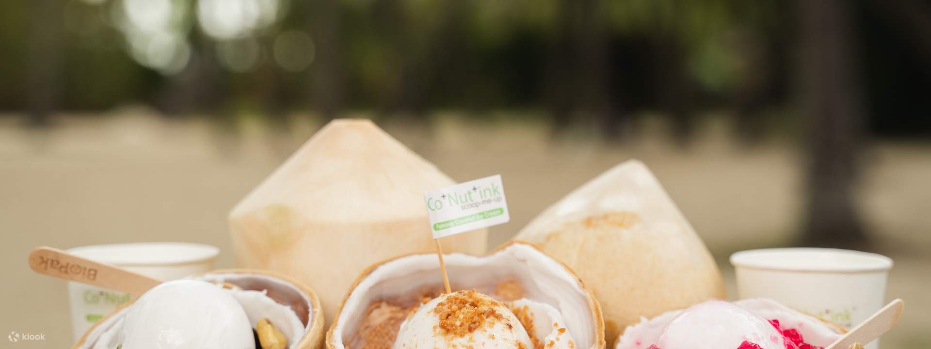 Co+Nut+Ink in Sentosa, Esplanade and Orchard, Singapore