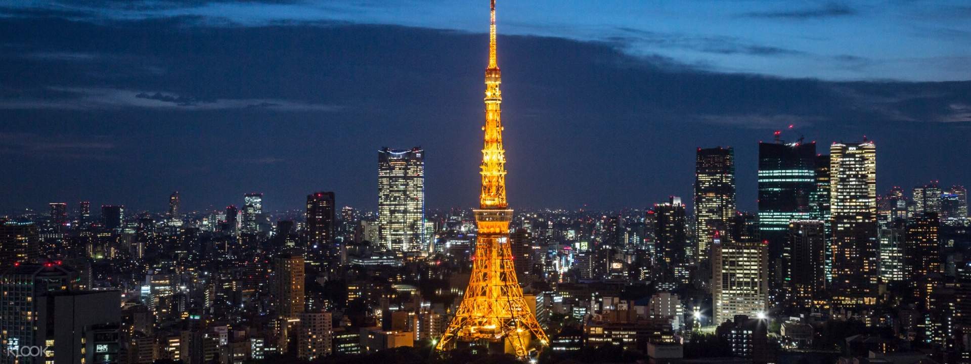 Tokyo Tower Observatory Ticket