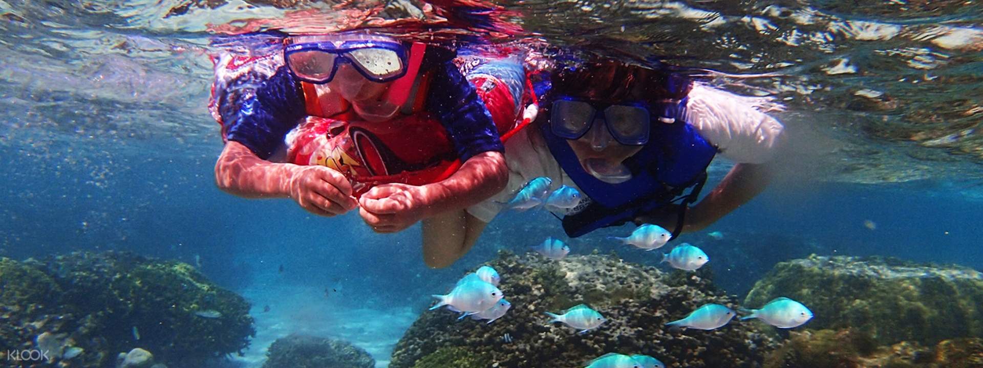 Up to 20% Off | Snorkeling Experience in Guam’s Tropical Reef - Klook ...