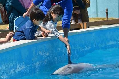 Minamichita Beach Land Admission in Aichi - Klook