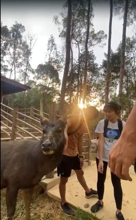1 Day Batam City and Heritage Tour - Klook United States