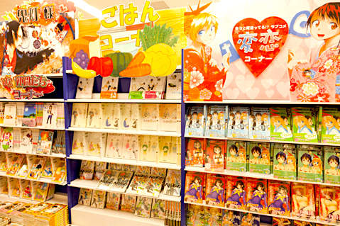 Manga Anime One Day Customized Private Car Tour in Tokyo - Klook