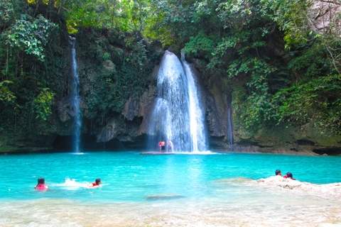 Oslob Whaleshark & Badian Canyoneering Tour in Cebu - Klook