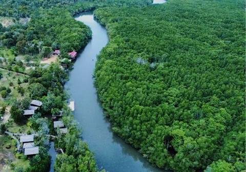 Mangrove Fireflies Bintan Tour - Klook Singapore