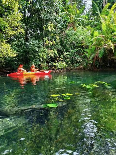 Klong Nam Sai Kayak + Fish Feeding + Elephant Watching + ATV - Klook