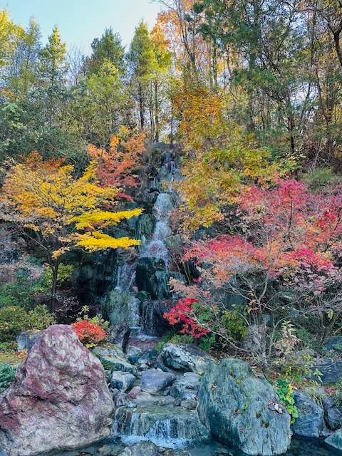 Jardín de piedras famosas donde también se puede disfrutar de plantas y ...