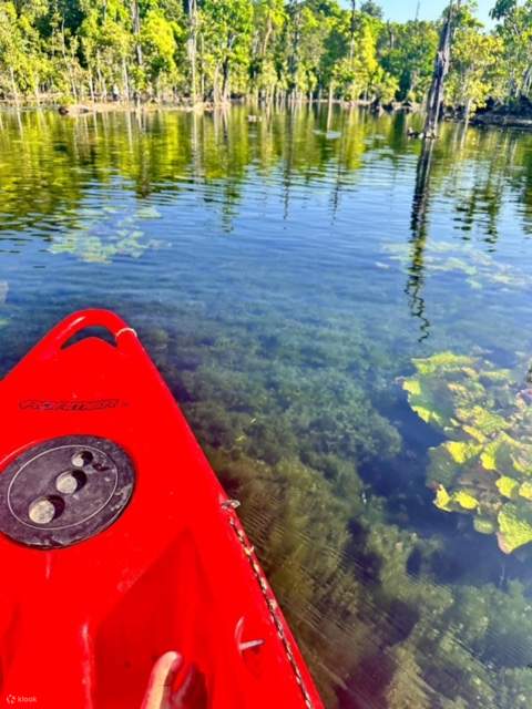 Klong Nam Sai Kayak + Fish Feeding + Elephant Watching + ATV - Klook