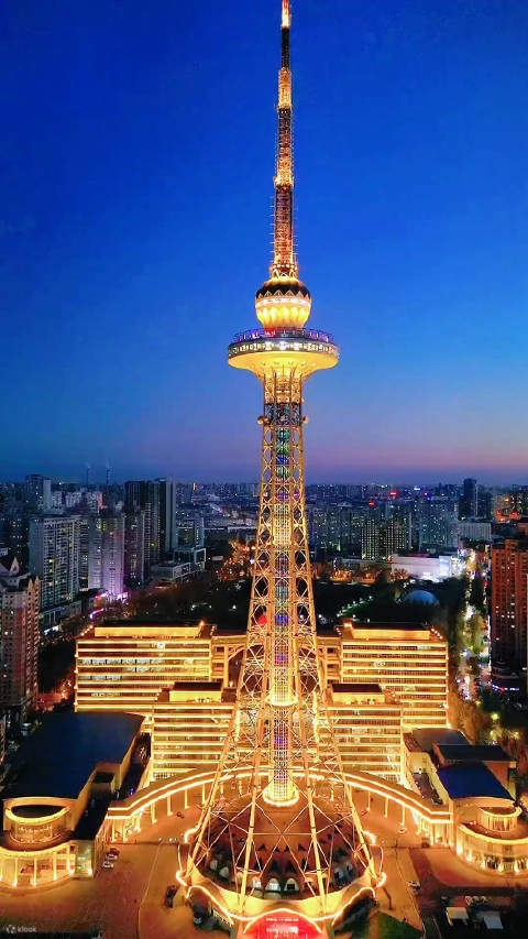 Harbin Ice and Snow Festival Winter Private Guided 1-Day Tour with Your ...